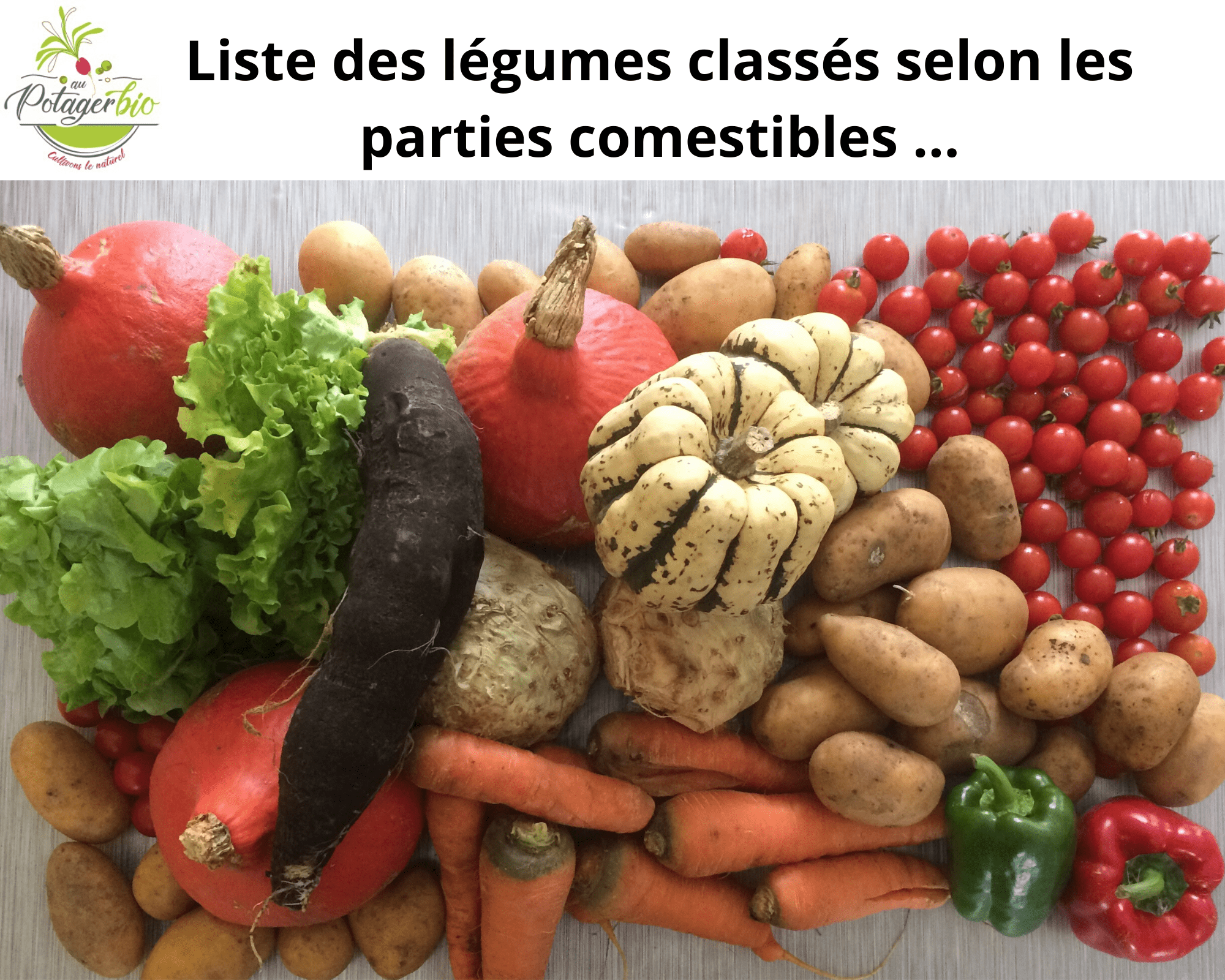 Les parties comestibles des plantes et classifications