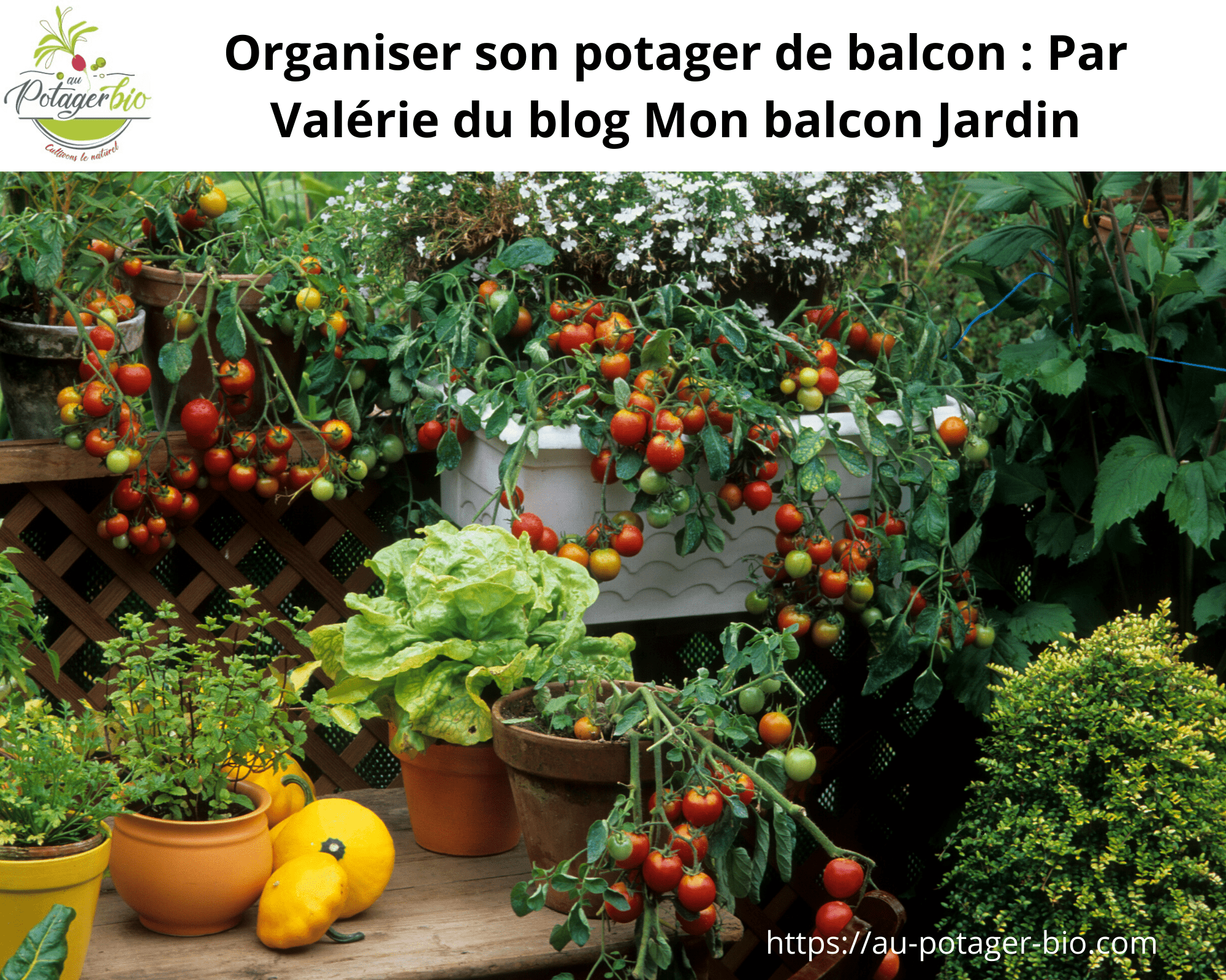 Un potager de balcon par Valérie du blog balcon jardin - Au potager bio